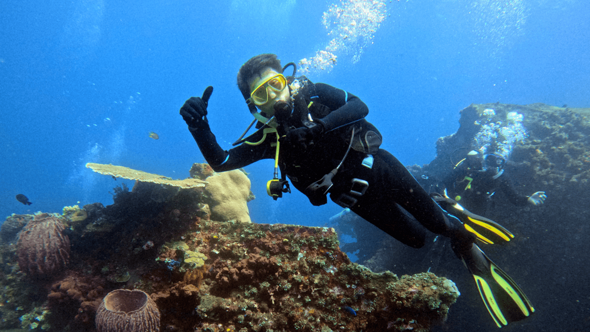 Explore Indonesia's Underwater World with Scuba Go - Dive Today!